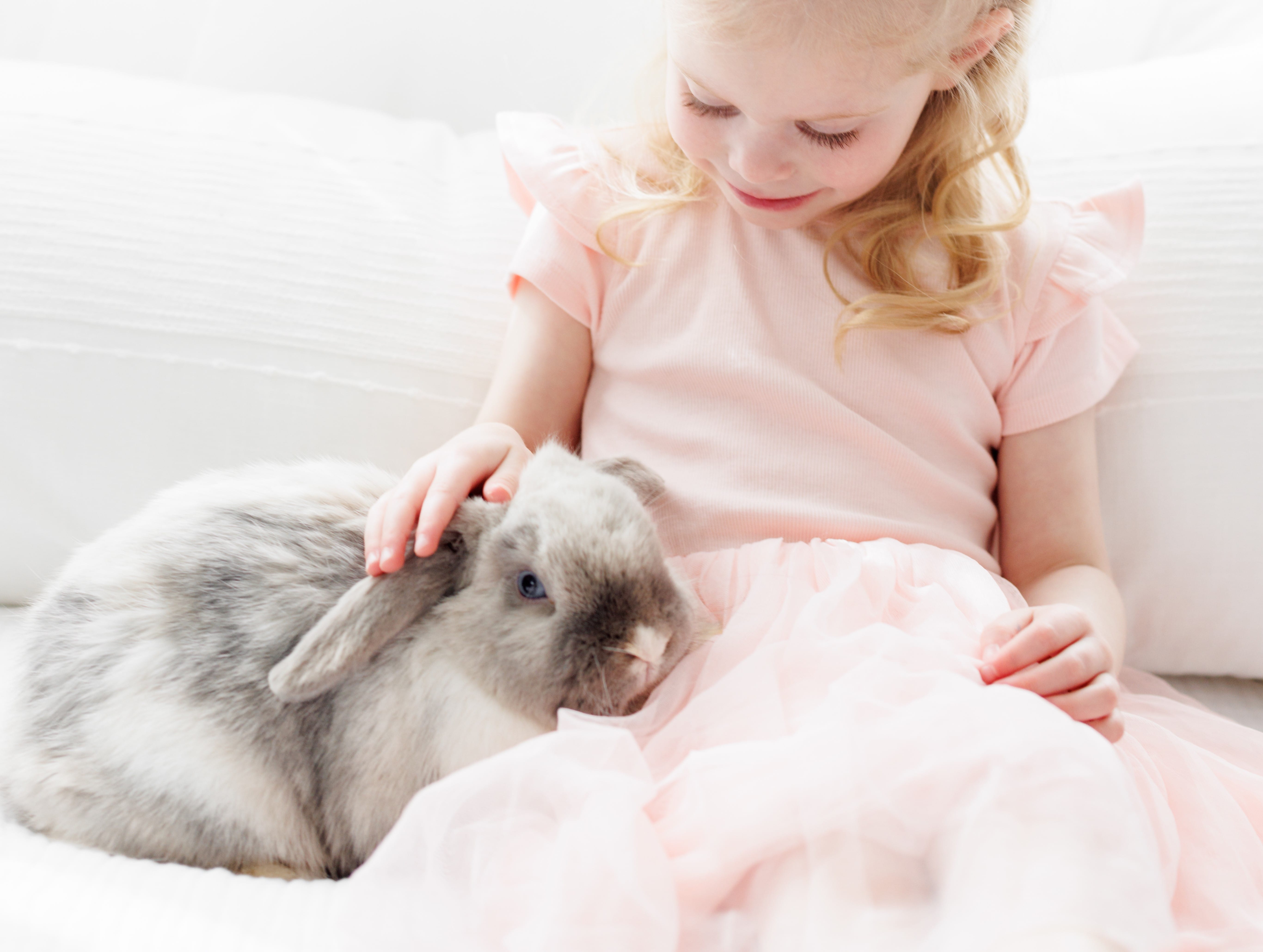 Clouds and Carrots Rabbitry | Centennial CO.