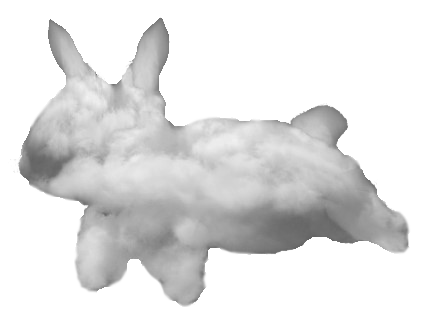 Clouds and Carrots Rabbitry | Holland Lop Rabbits in Centennial Colorado